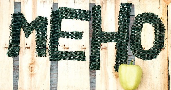 Almin Kaplan objavio novi roman "Meho": Knjiga u kojoj će se prepoznati ...