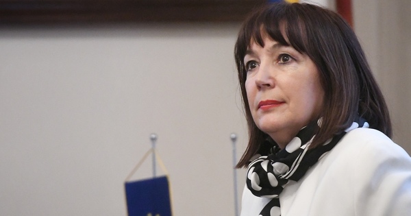 Mahmutbegović tvrdi da su se "Glumac" i "Cvrle" žrtvovali odustajanjem ...