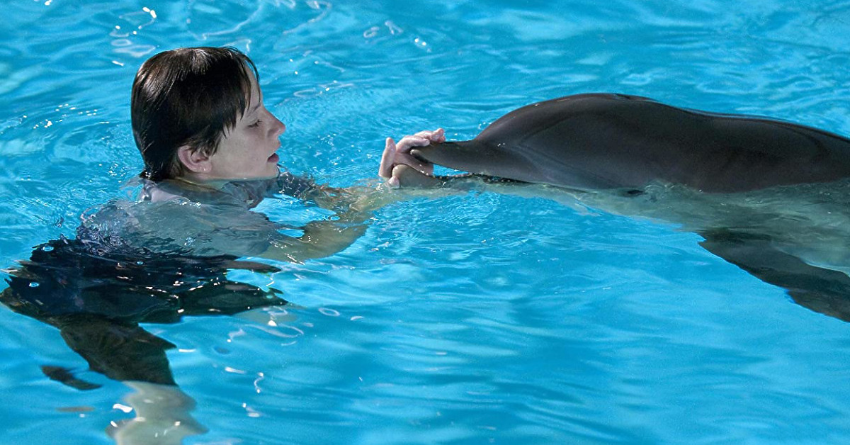 Preminuo delfin koji je inspirisao film "Dolphin Tale"