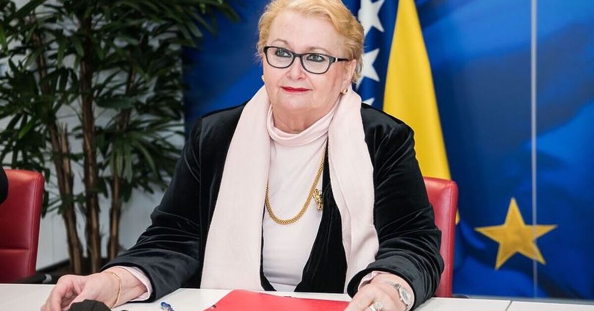 Turković: Odluka EU o dodjeljivanju kandidatskog statusa BiH je ...