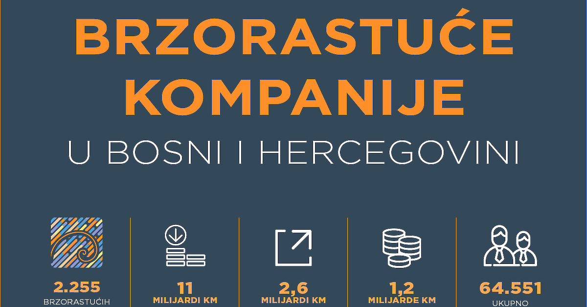 Poslovne novine: Evo koje su to kompanije iz BiH na listi TOP 100 ...