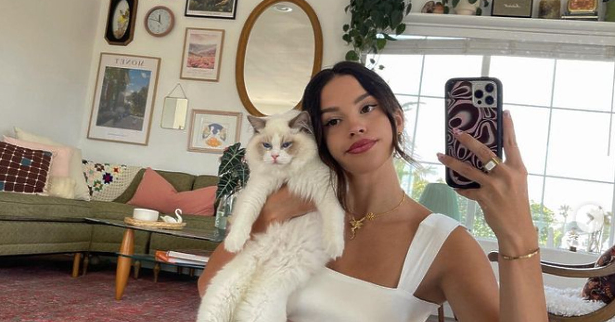 Mačka svako jutro čeka vlasnicu da se probudi kako bi se mazile, video ...