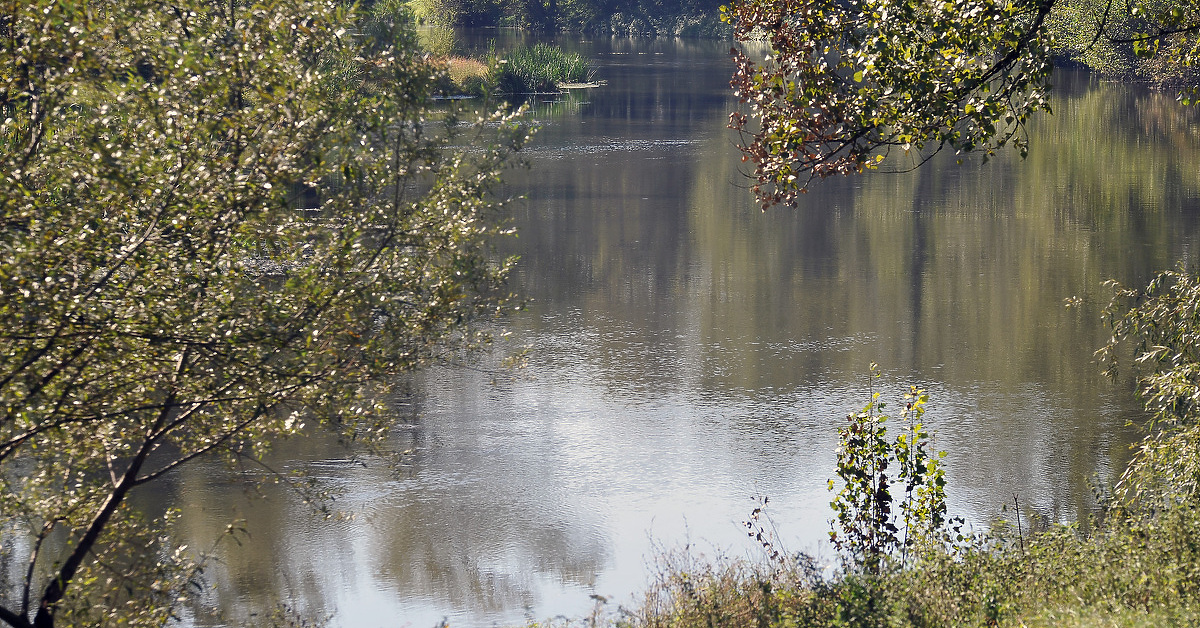 Novi pomor ribe u rijeci Bosni, federalna inspekcija danas ...