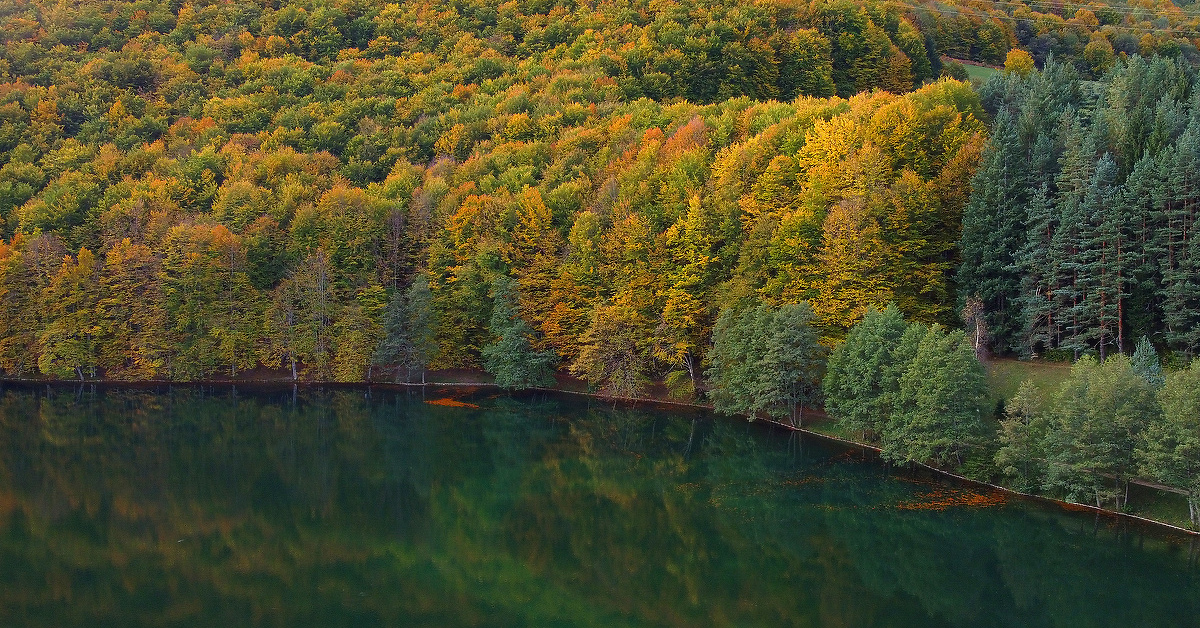 Zlatna jesen u Jajcu i Mrkonjić Gradu: Očaravajući pejzaži zlatne nad ...