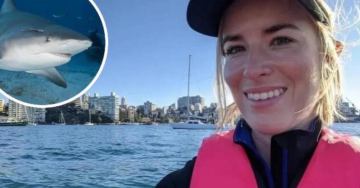 Sydney: Ženu tokom plivanja napala ajkula, spasili je susjedi