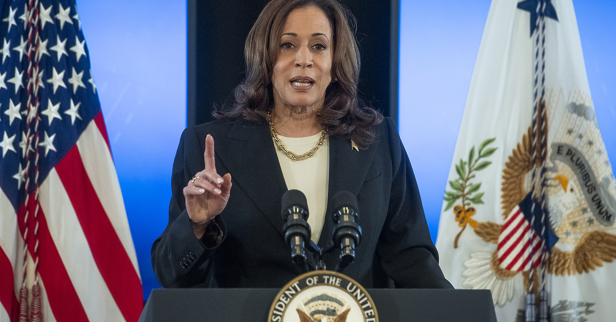 Kamala Harris zabrinuta da bi Demokrate mogle zamijeniti Joe Bidena s bijelim kandidatom