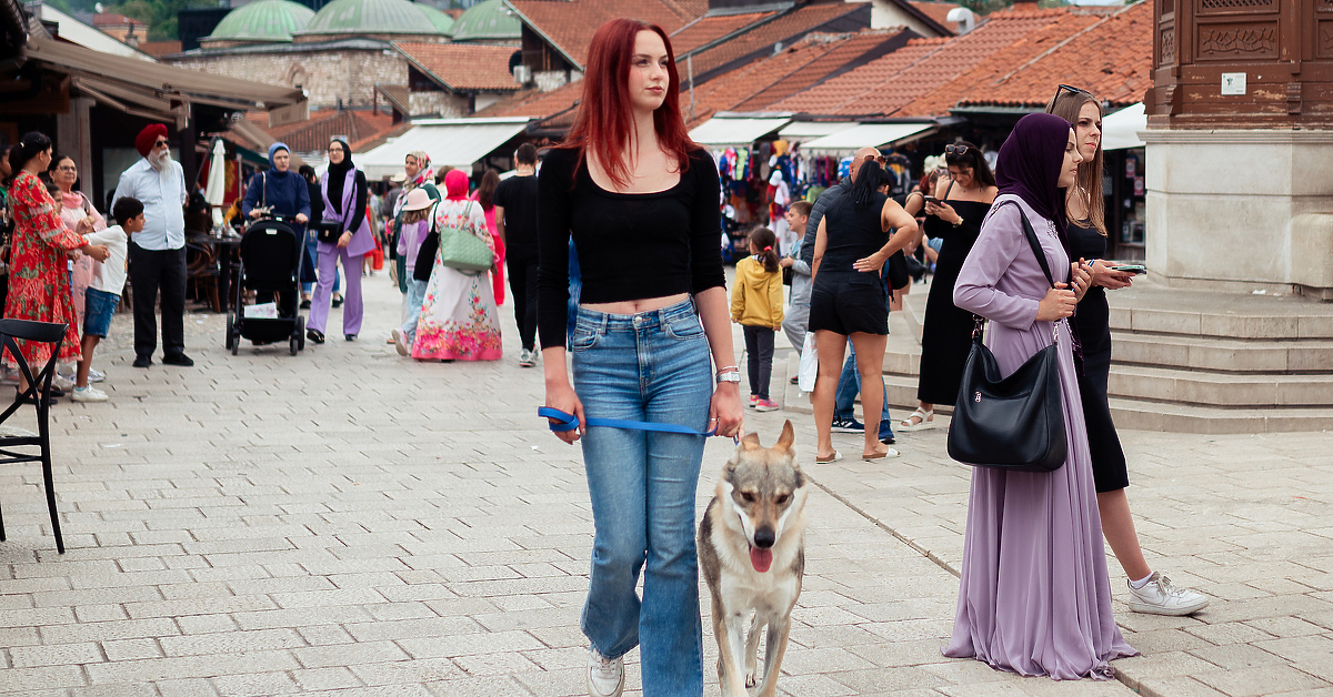 "Pola pas, pola vuk": Fascinantni ljubimac prošetao ulicama Sarajeva i ...