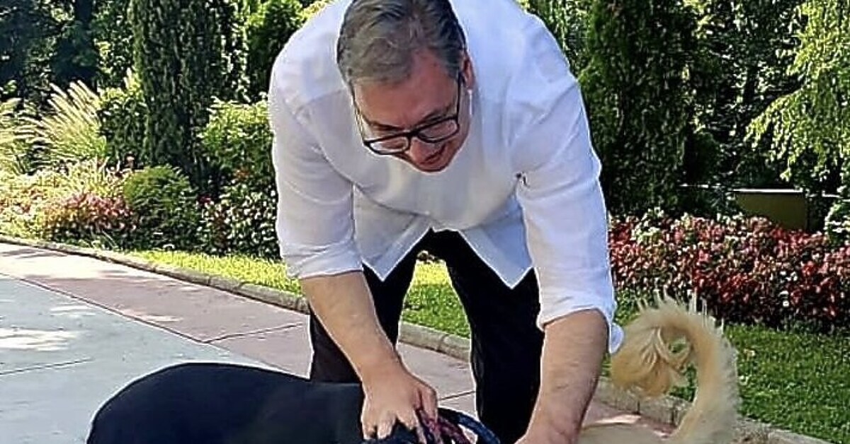 Vučića kritikuju zbog skupocjenih patika: Vučića kritikuju zbog skupocjenih patika: