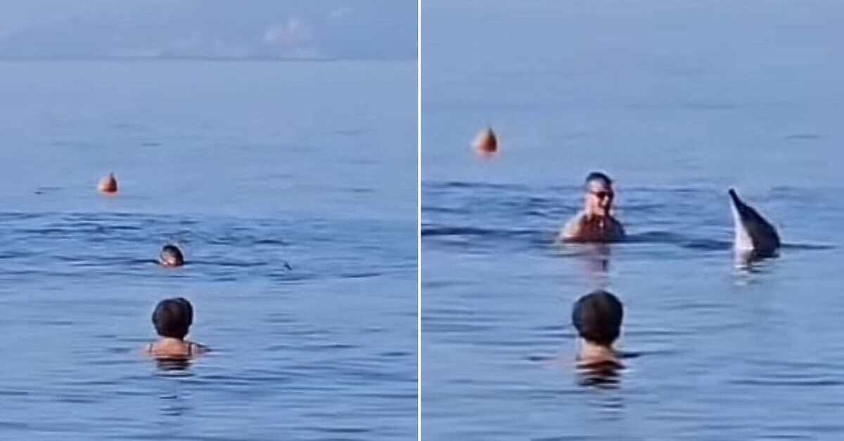 Simpatičan prizor koji će vam popraviti dan: Delfin doplivao do obale i družio se s plivačima u ...